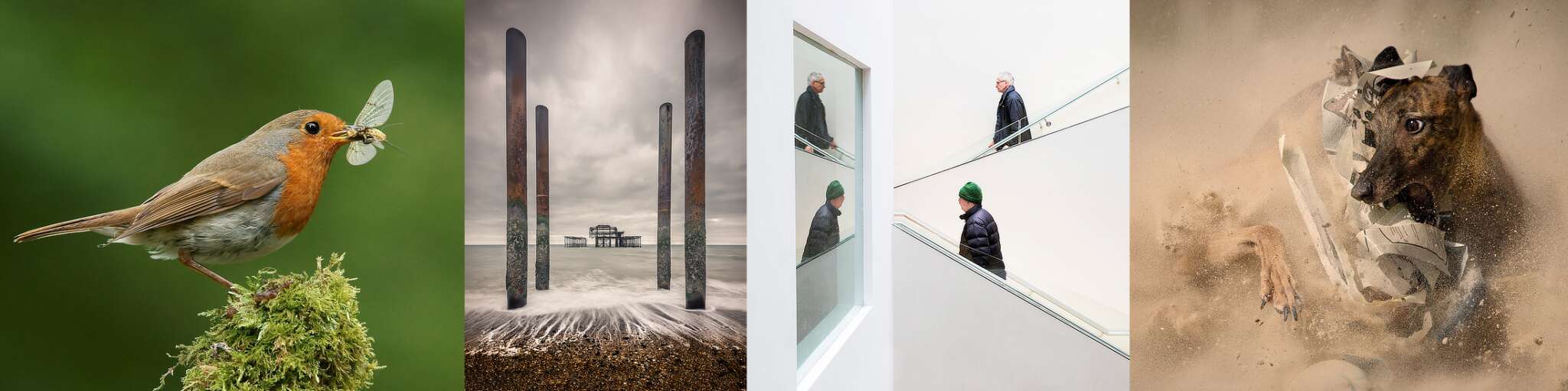Overton Photographic Club – Based in the UK village of Overton in Hampshire